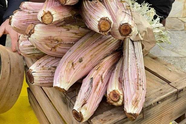 Solo per palati sopraffini, a Monreale la Sagra del Carduni Vruricatu ...