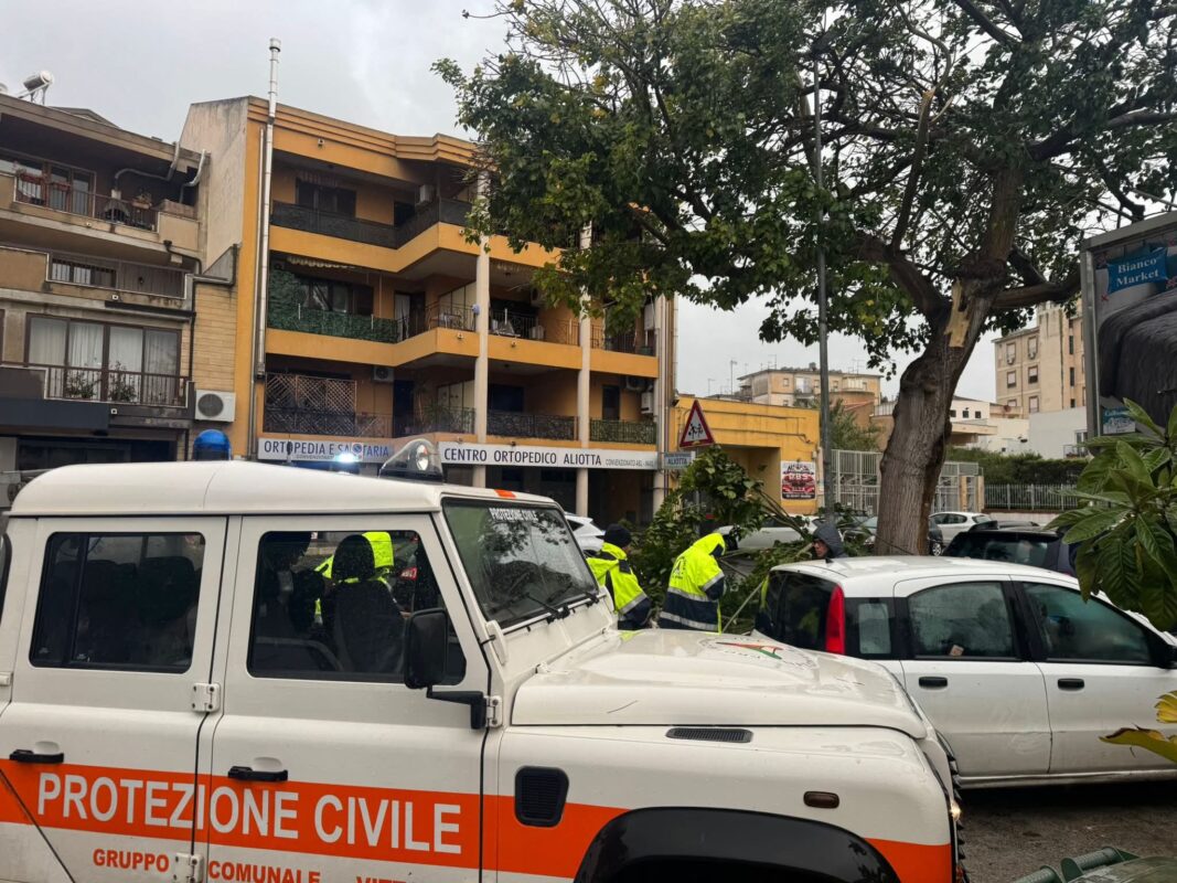 Crolli, alberi abbattuti e fiumi in piena: il bollettino dell'emergenza ...